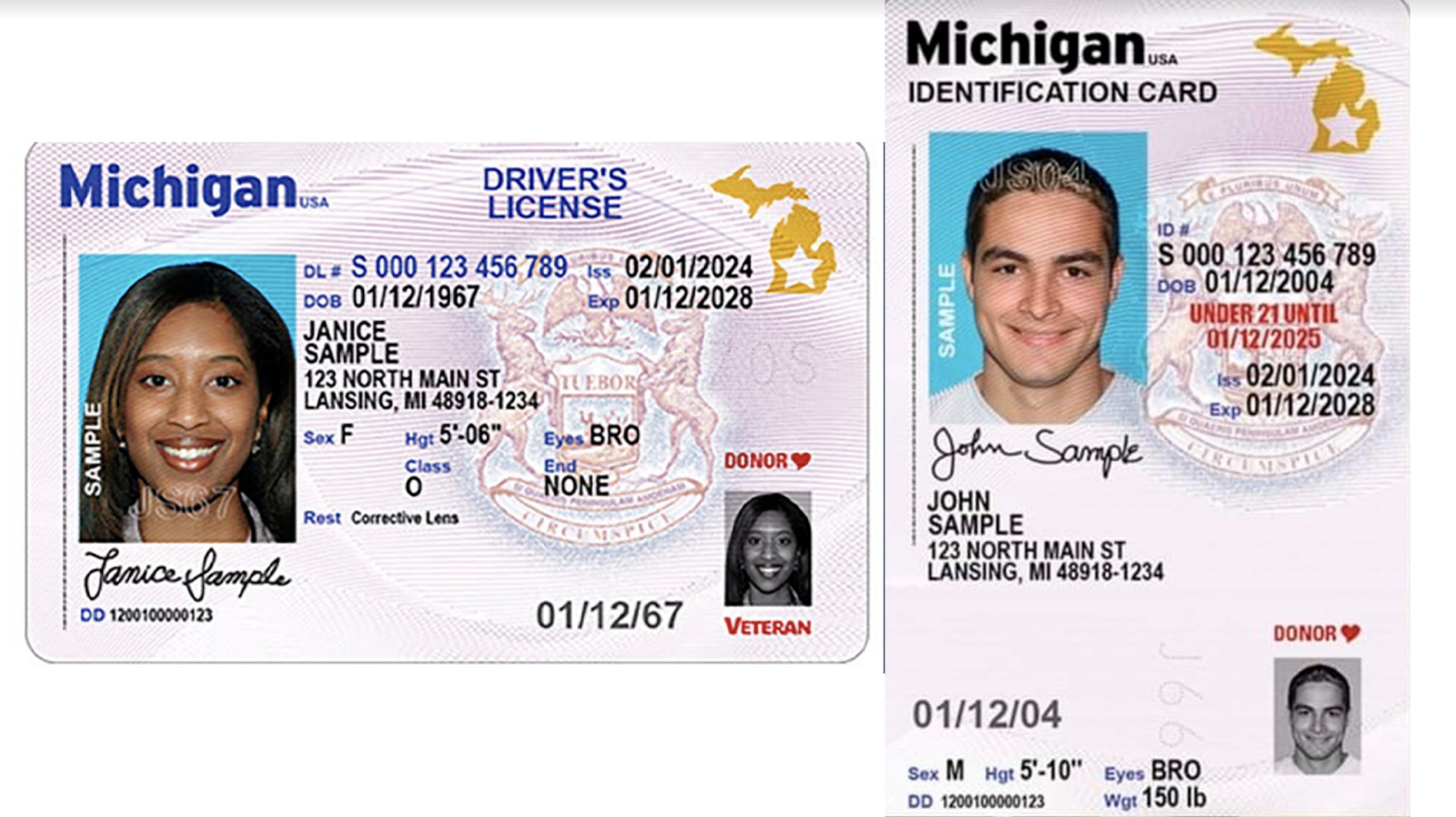 ¿Cómo obtener una licencia comercial en Michigan?